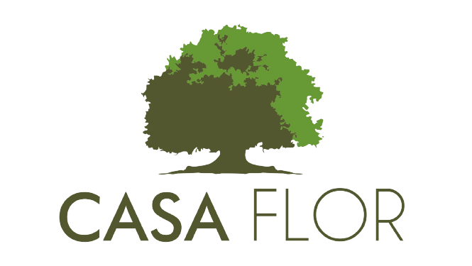 Asplenium nidus - CASA FLOR
